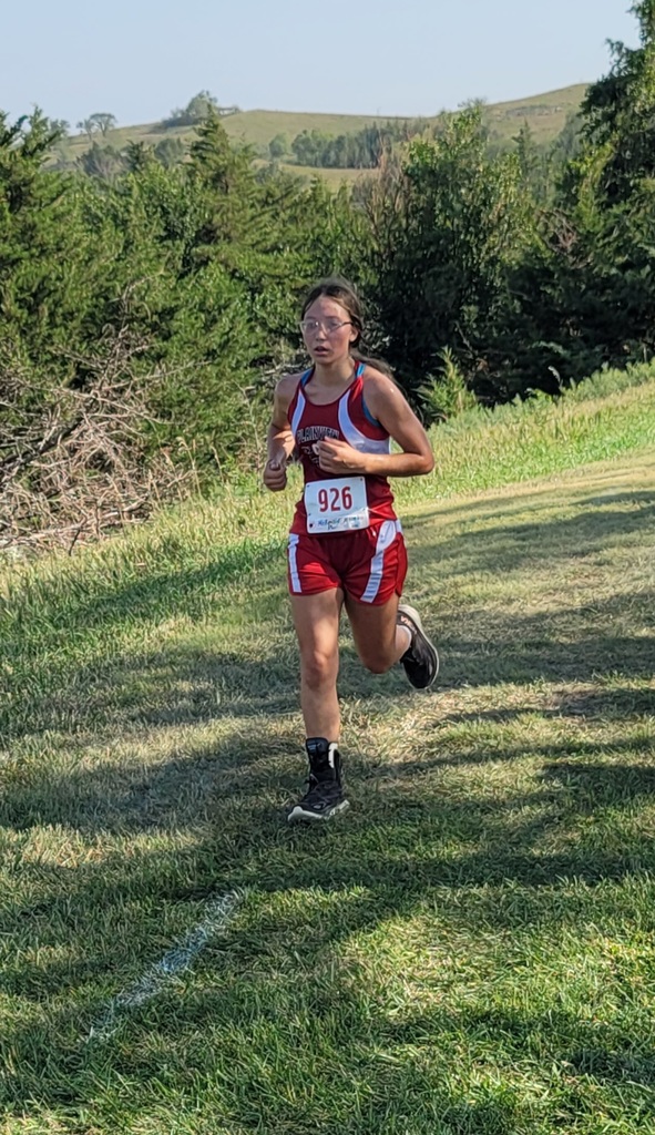 Live Feed | The Plainview News